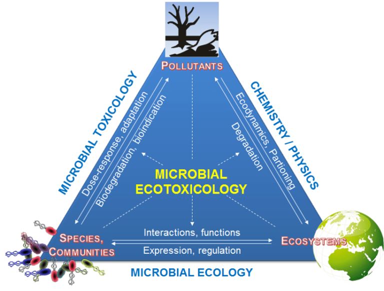 About Us – EcotoxicoMic
